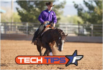 Fappani Peformance Horses | Fappani Performance - The ride continues