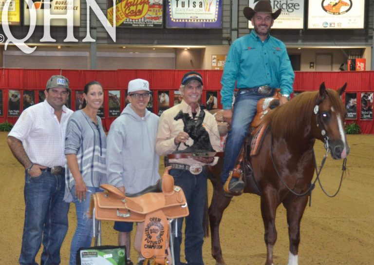 News – Fappani Peformance Horses