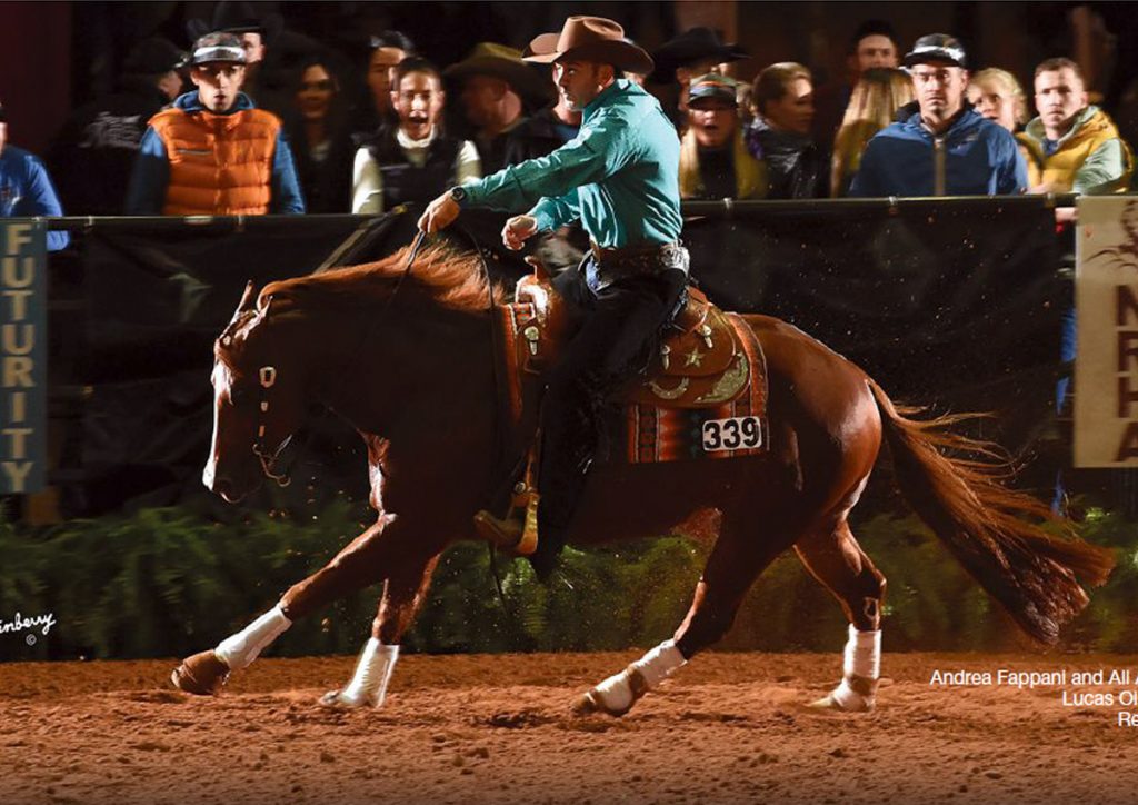 Fappani Peformance Horses | News