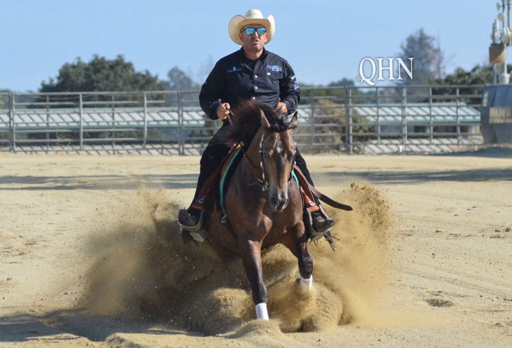 Fappani Peformance Horses | News