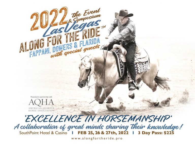 Fappani Peformance Horses | Fappani Performance - The ride continues