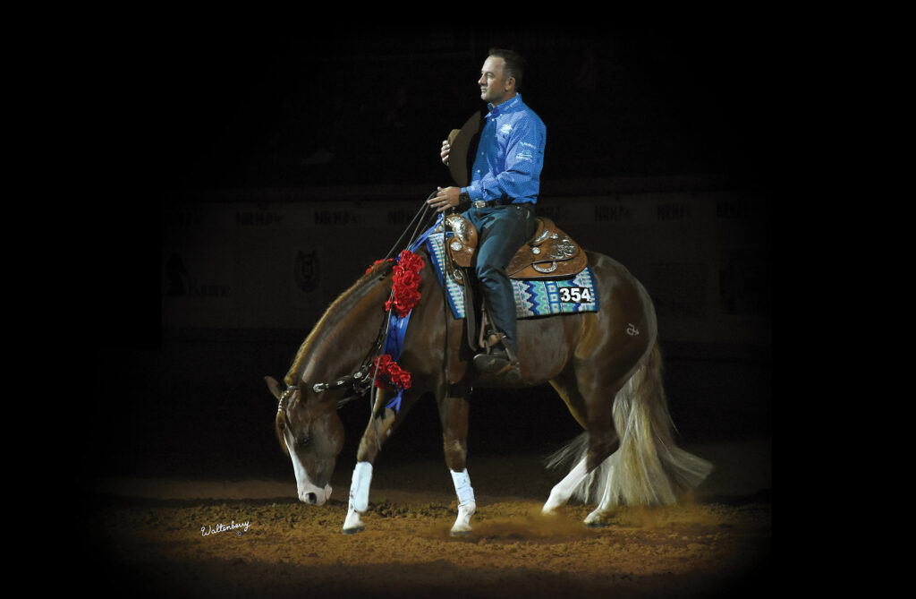 All Bettss Are Off – Fappani Peformance Horses